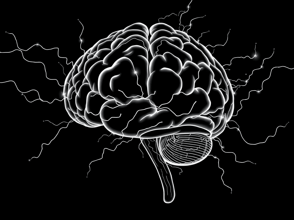 The Migraine Brain: Ten Scientific Breakthroughs That Will Blow Your ...